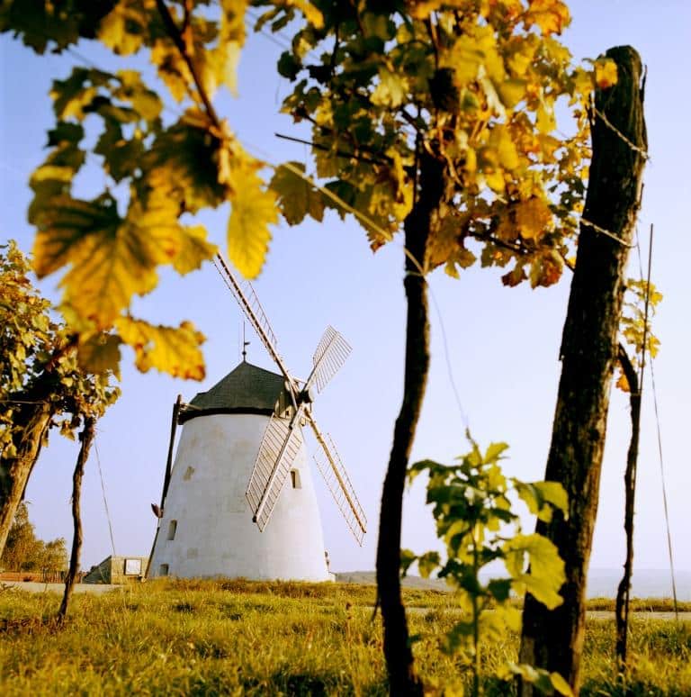 Retzer Windmühle © Retzer Land GmbH – leader.co.at DE
